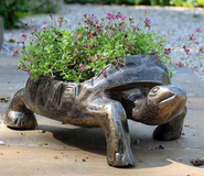 Medium Turtle Planter - Alumi Works